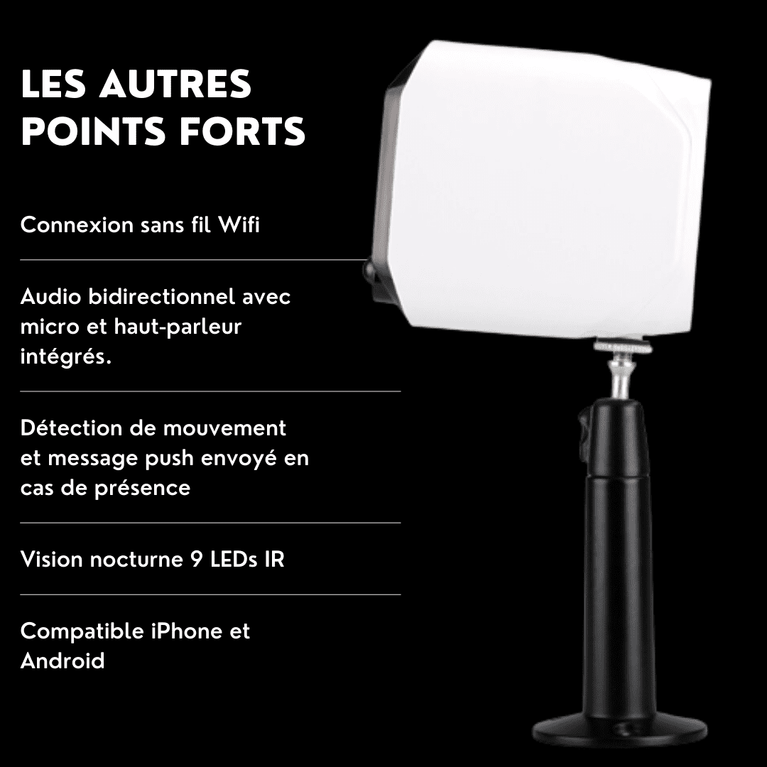 Caméra de surveillance intelligente 2MP - SAURON SECURITE