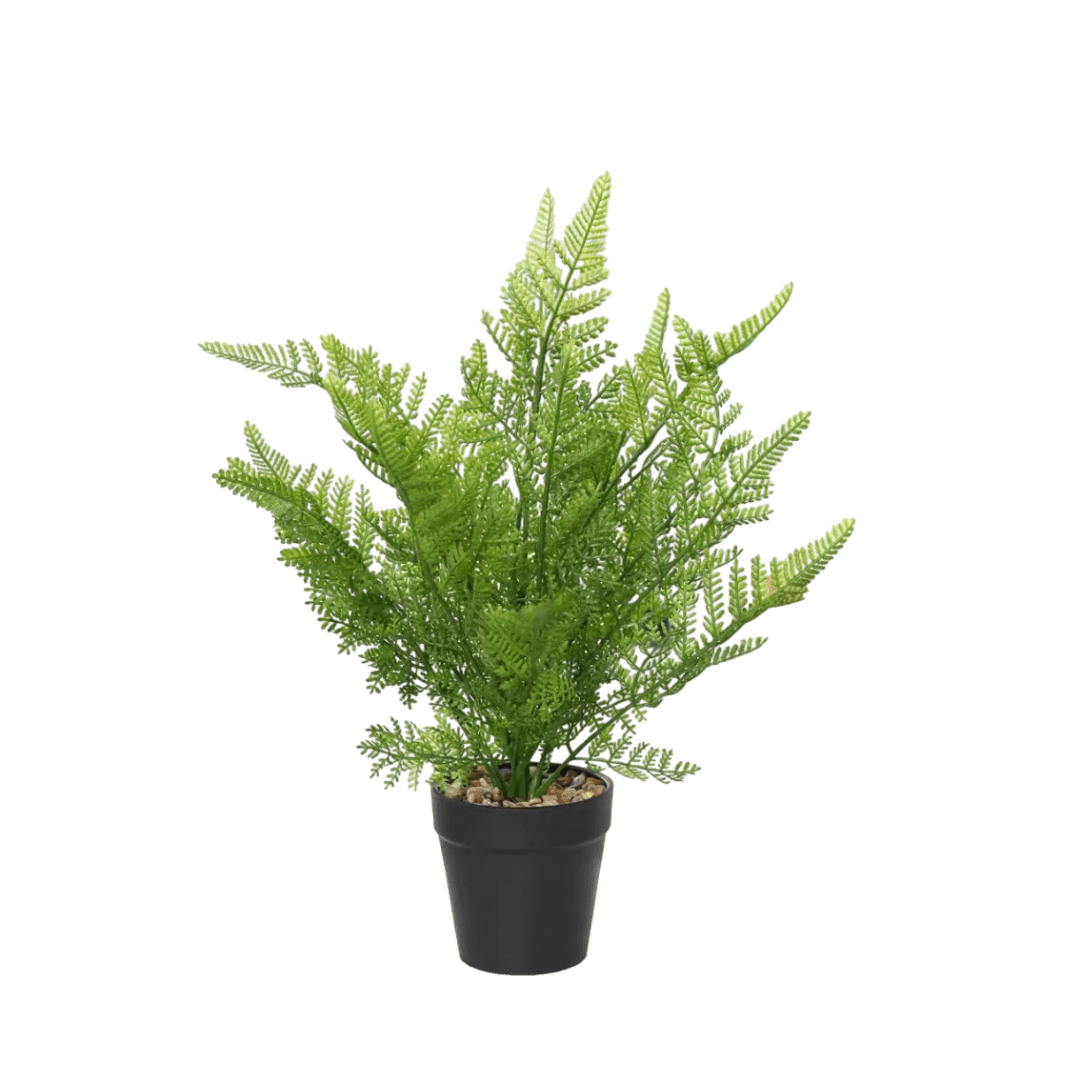 Fausse Plante Caméra Espion 4k Wifi - SAURON SECURITE