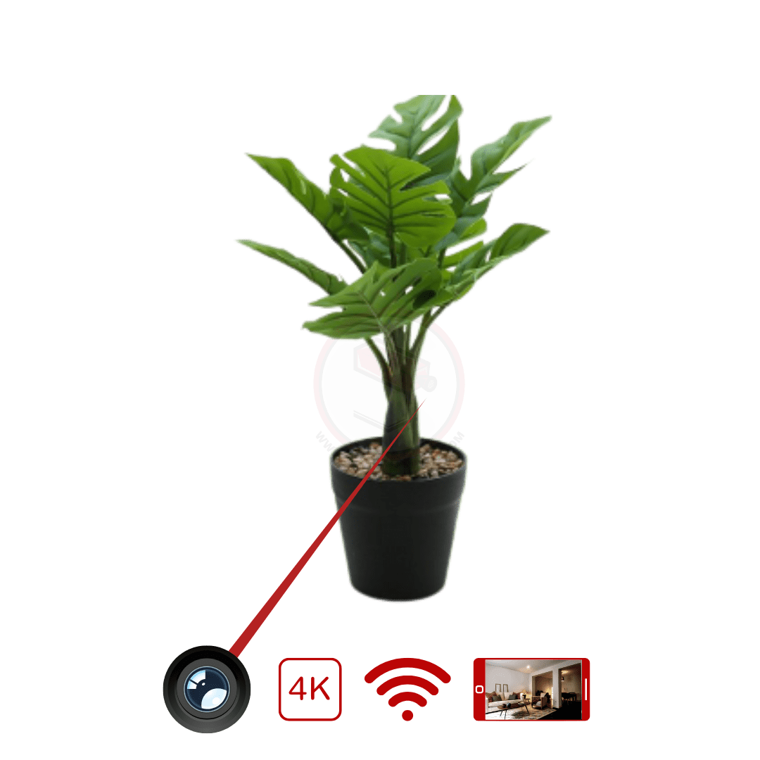 Fausse Plante Caméra Espion 4k Wifi - SAURON SECURITE