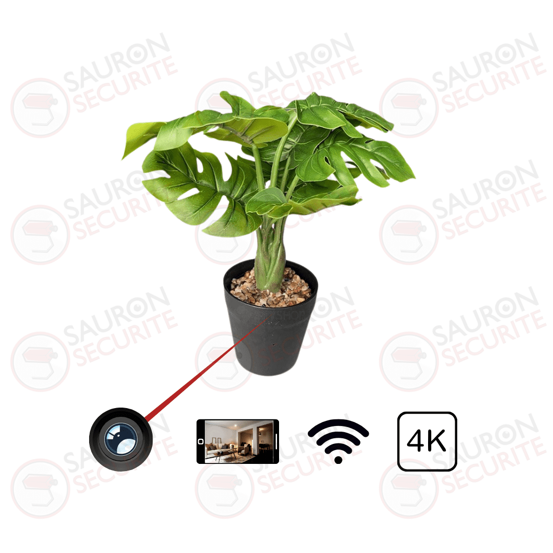 Fausse Plante Caméra Espion 4k Wifi - SAURON SECURITE